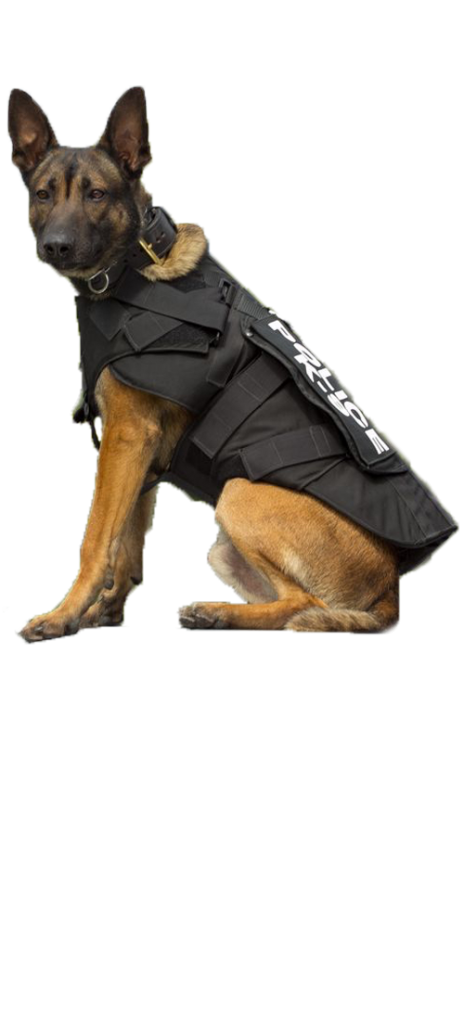 Capital K9 Association | GOT K9? | Capital K9 Association