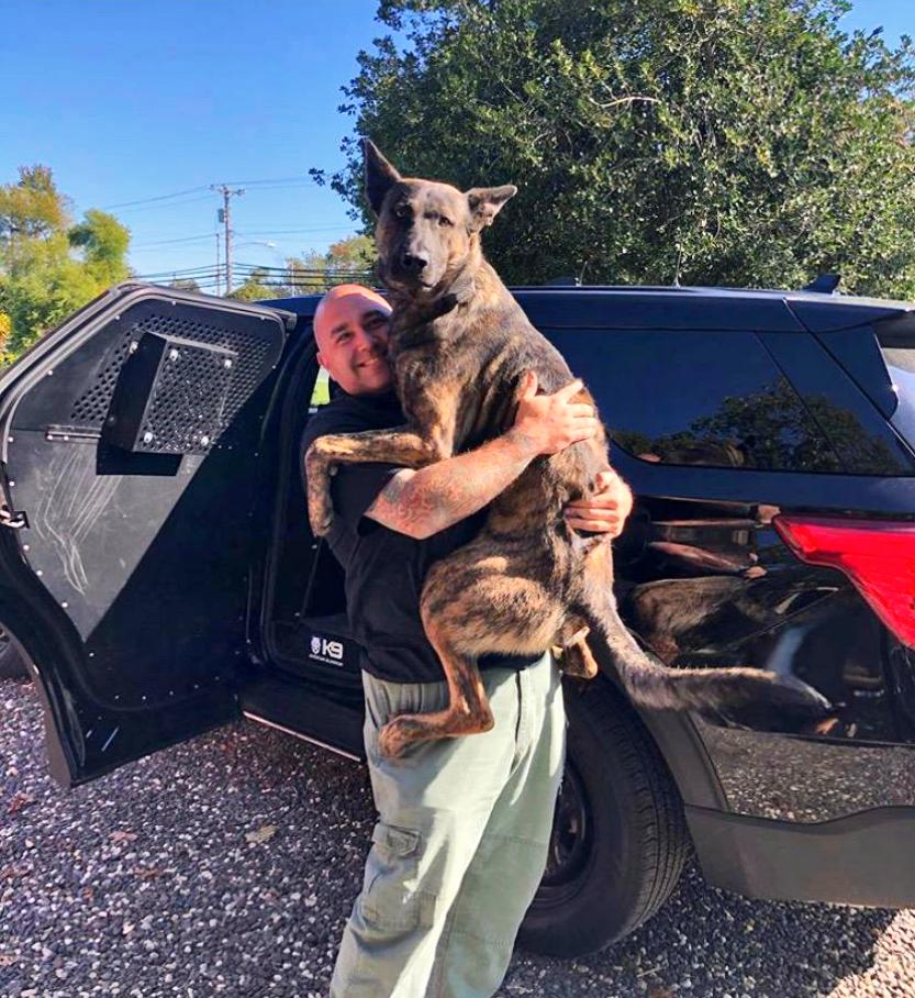 Capital K9 Association | GOT K9? | Capital K9 Association